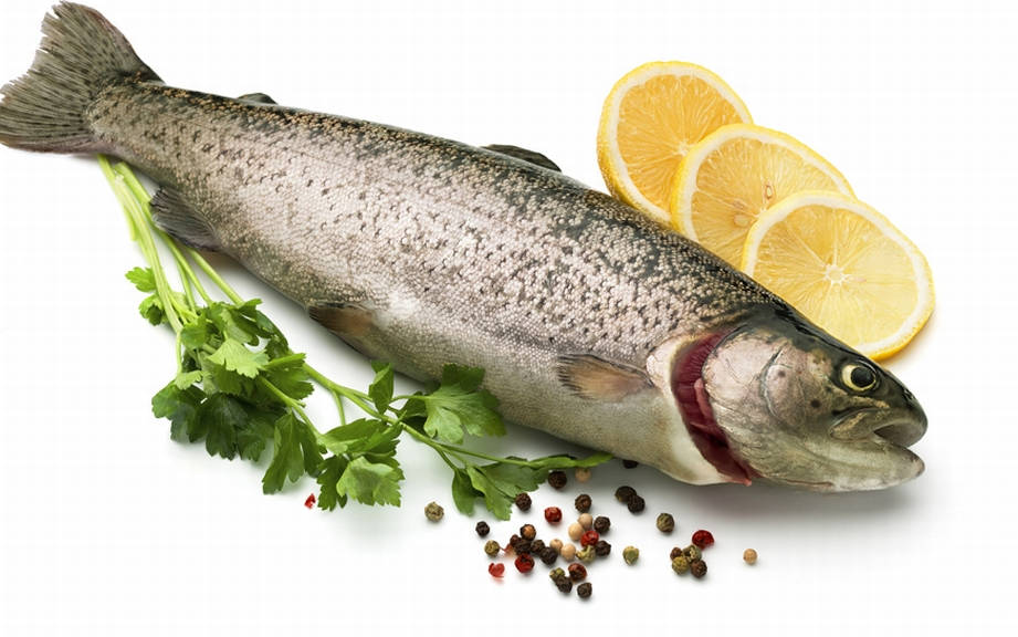 How to Say “Fish” in German? What is the meaning of “Fisch”? - OUINO