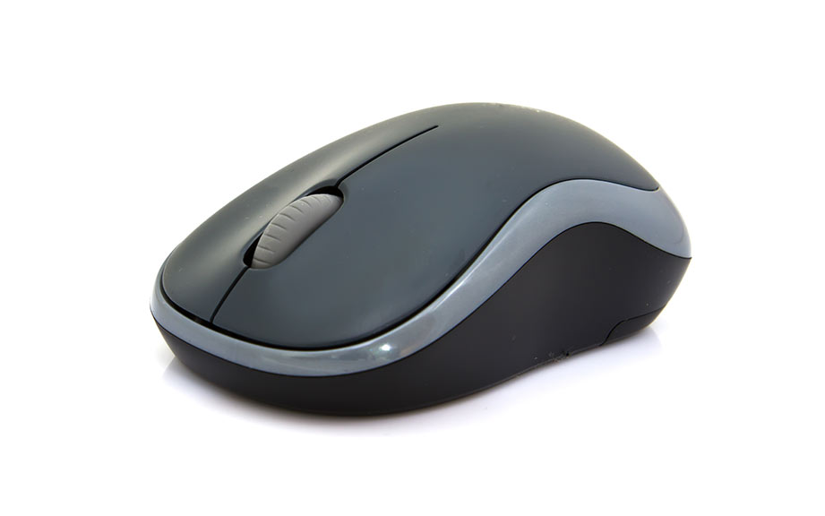 How To Say Mouse In Spanish What Is The Meaning Of Rat n OUINO How To Say Mouse In Spanish What Is The Meaning Of Rat n OUINO