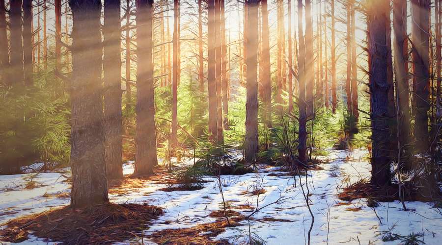 How to Actually Learn a New Language in 2020 (Month-to-month guide)