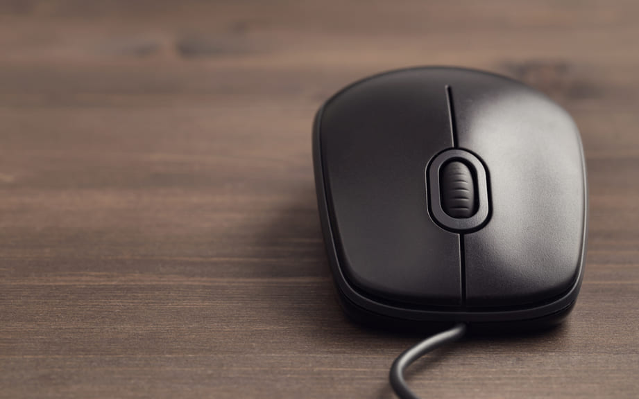 How To Say Mouse In Italian What Is The Meaning Of Mouse OUINO